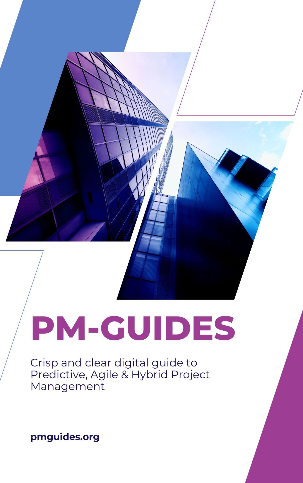 Guide to Predictive Project Management – PMguides